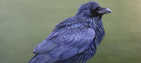 Alberta Wildlife Artist - Nature Paintings & Landscape Art | Golden K ...